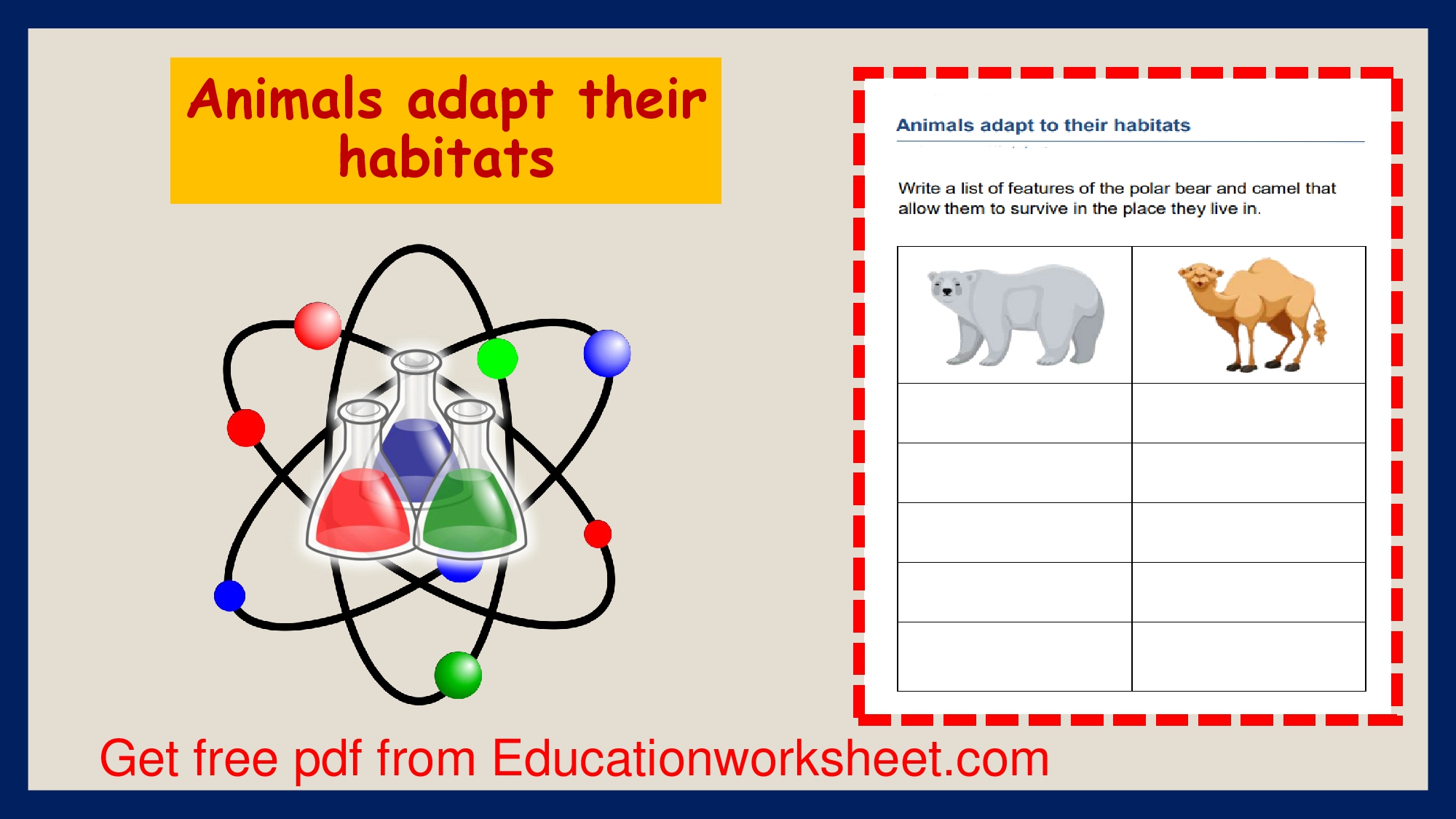 Animals Adapt Their Habitats Worksheets - Education Worksheet