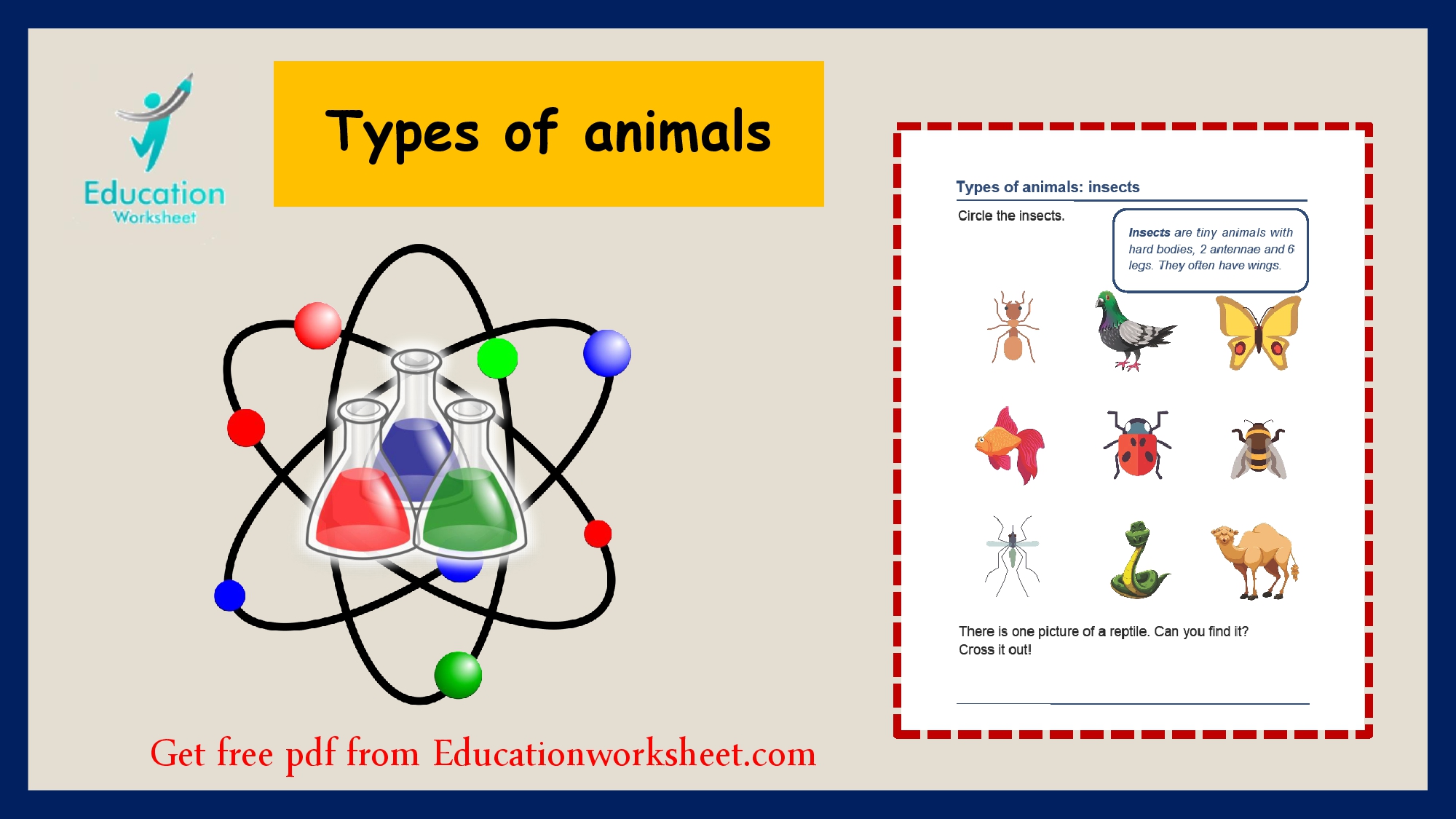 Types Of Animals Worksheet - Education Worksheet
