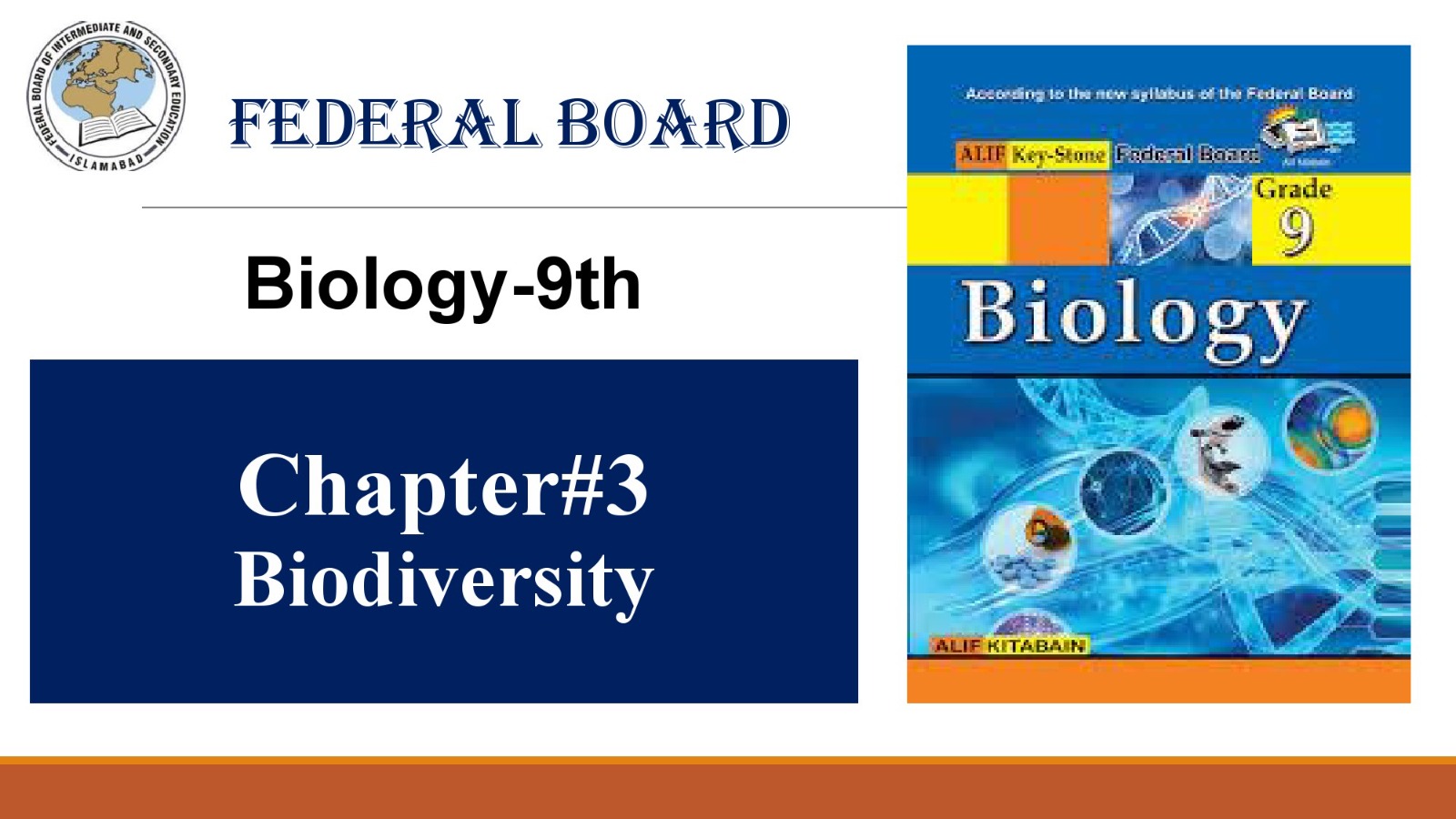 9th Biology Chapter 3 Biodiversity - Education Worksheet